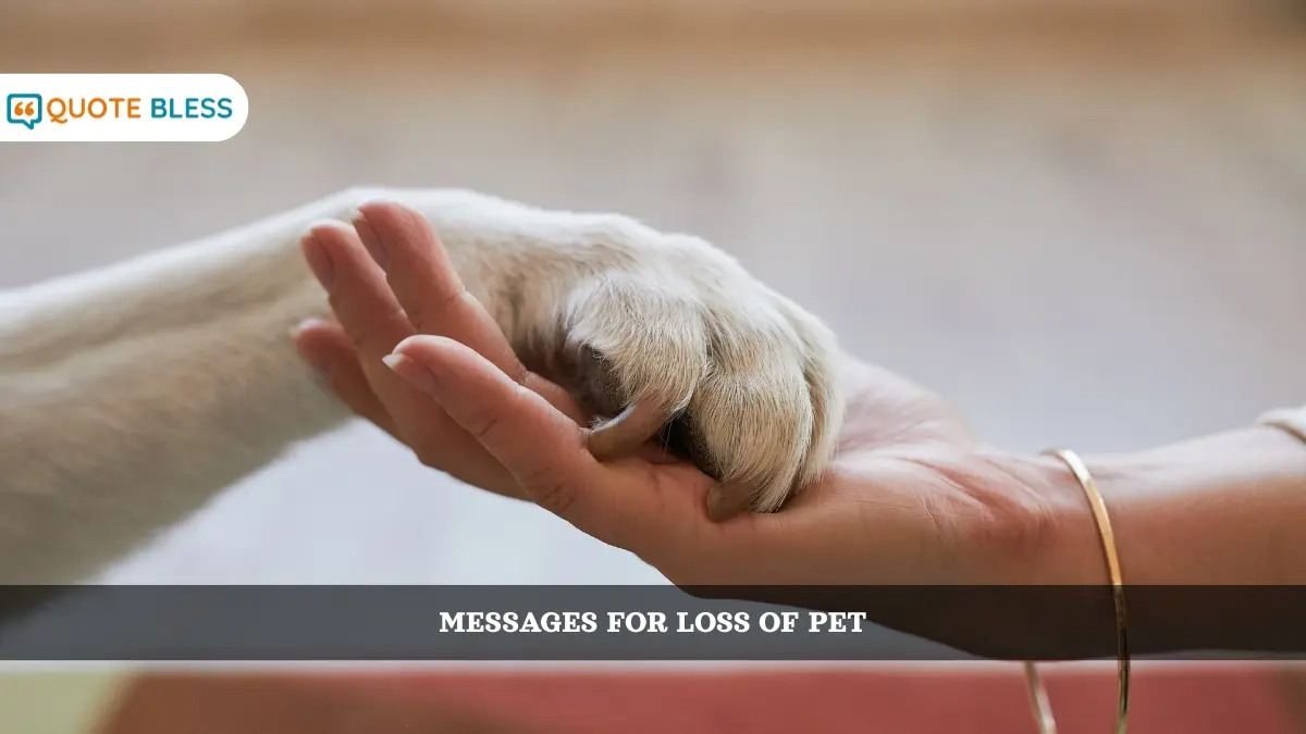 Sympathy Message for Loss of Pet: Scripts & Card Ideas